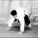 Monkey Boxing Techniques and Drills - Monster Martial ArtsMonster ...